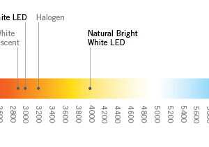 N Scale Series II LED Board wt Decoder 124mm (Choose LED Color ...